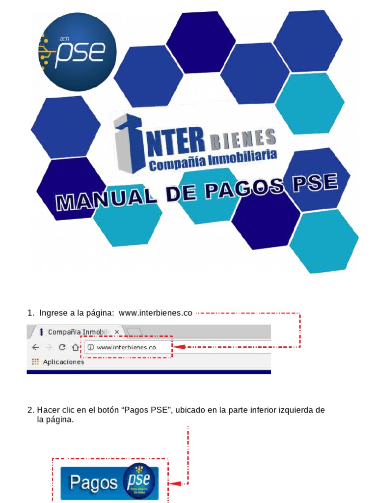 Manual Pse PDF | PDF
