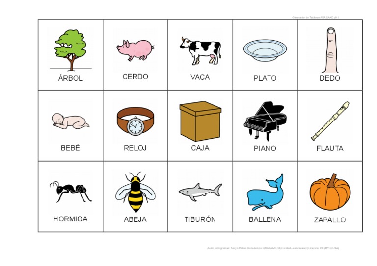 Bi Tri Poli Segmentación | PDF