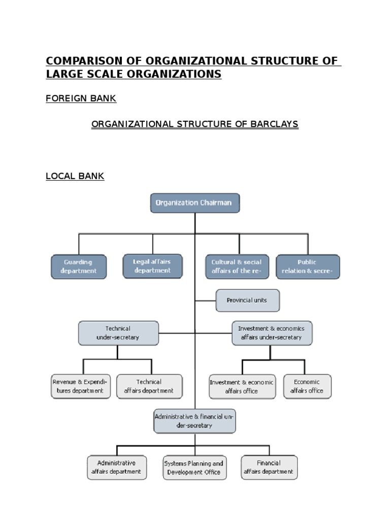 COMPARISON OF ORGANIZATIONAL STRUCTURE OF LARGE SCALE ORGANIZATIONS.docx