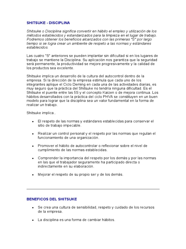 5 Shitsuke | PDF