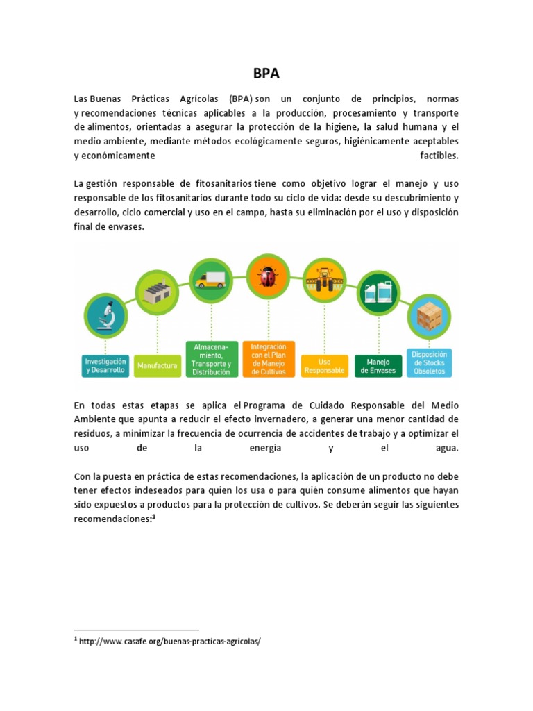 BPA y BPM: Claves para Inocuidad Alimentaria | PDF | Seguridad ...
