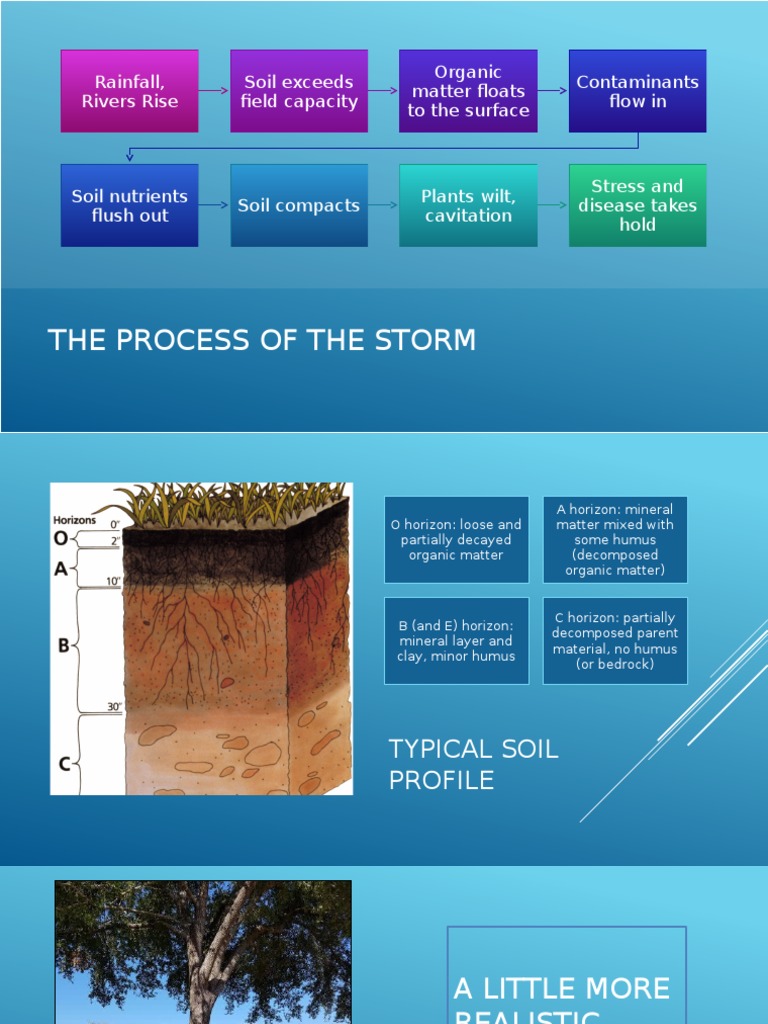 The Process and Impacts of Soil Saturation: A Guide to Understanding ...