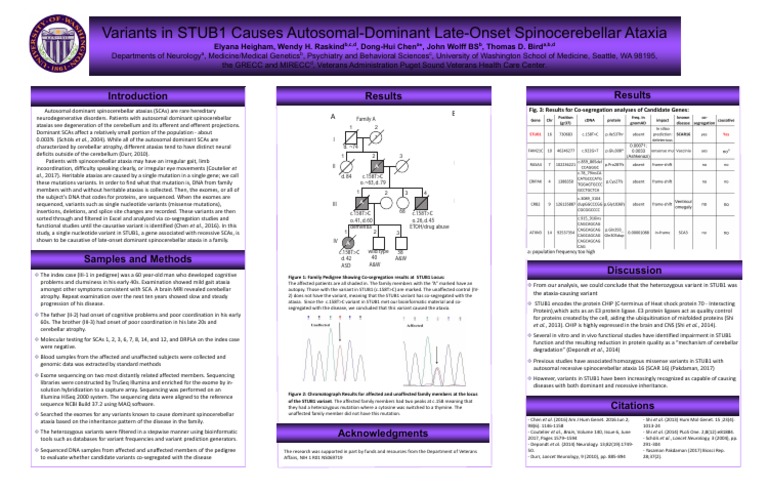 Undergraduate Research Symposium Poster | PDF | Proteins | Dna Sequencing