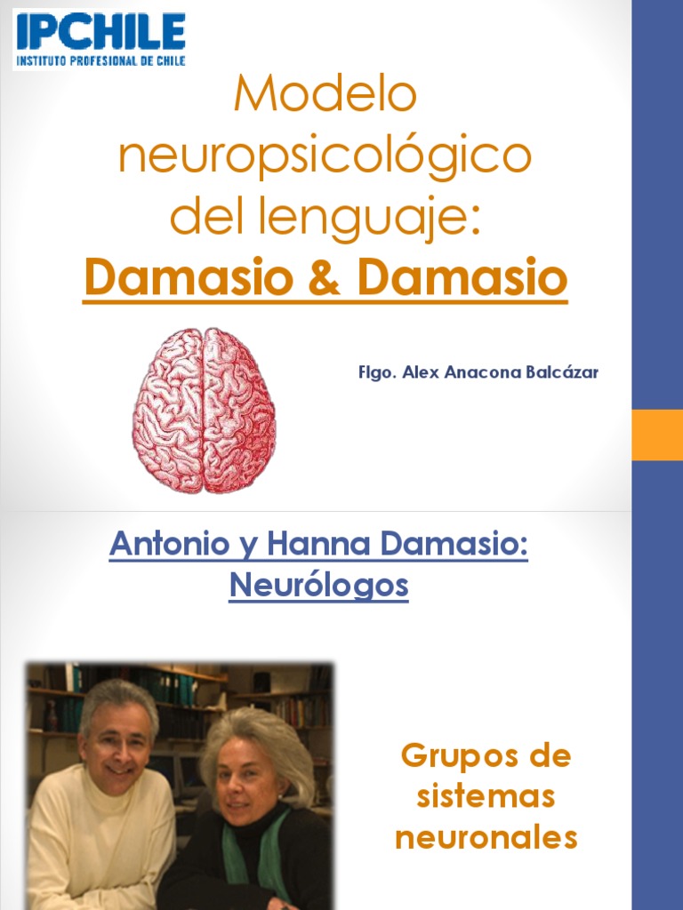 DAMASIO | PDF | Afasia | Lóbulo temporal