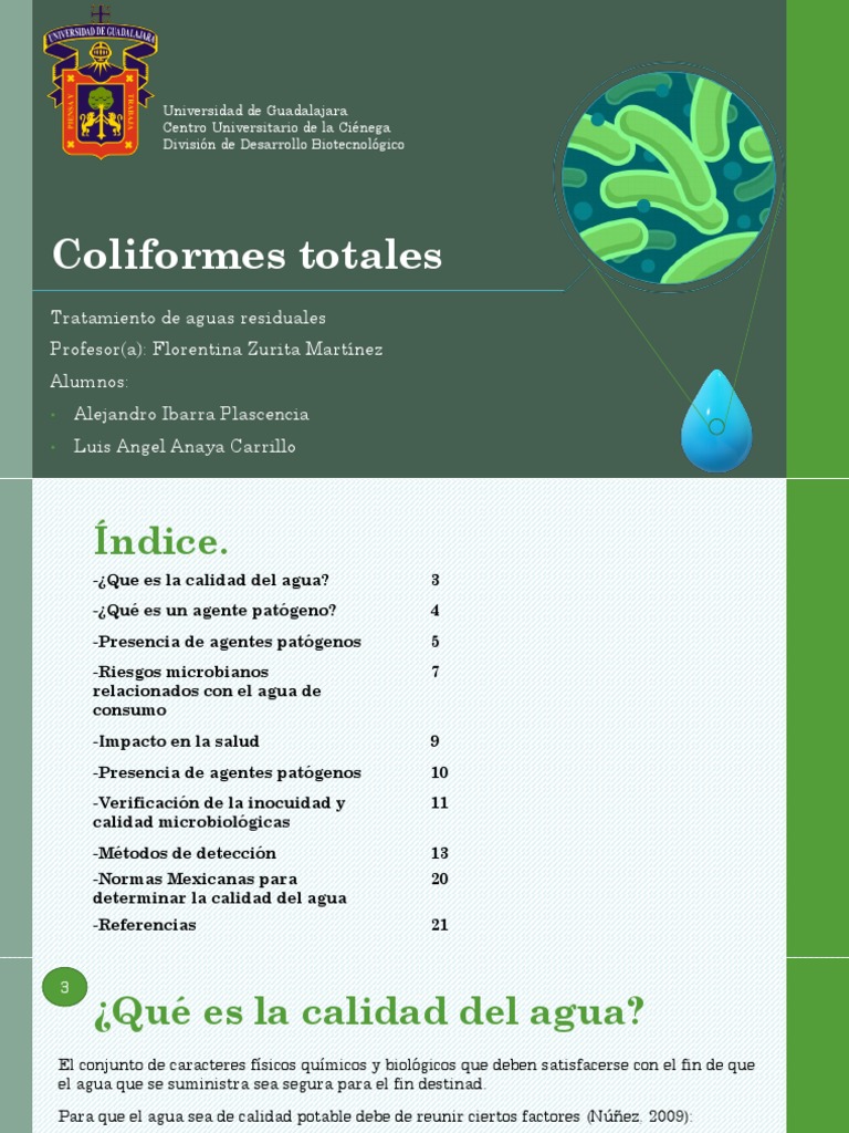 Coliformes Totales | PDF | La contaminación del agua | Agua