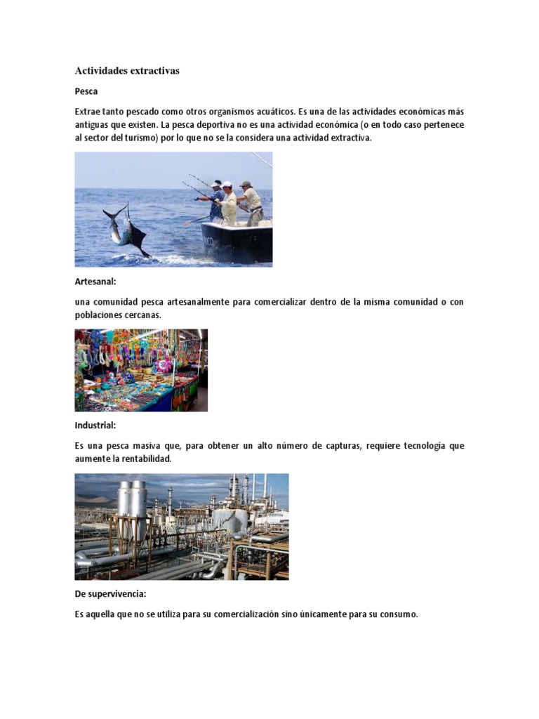Actividades Extractivas | PDF | Minería | Petróleo