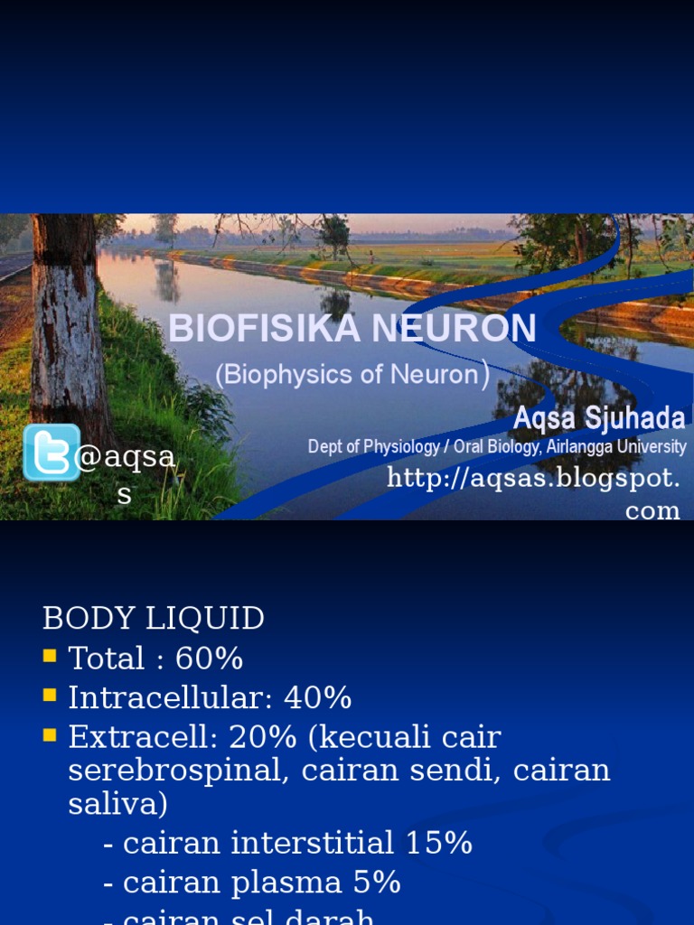 Biofisika Neuron 2013 | PDF | Action Potential | Axon