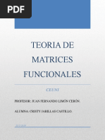 Teoría de La Matriz Funcional de Melvin Moss | PDF | Cráneo | Epigenética