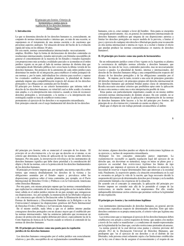 El Principio Pro Homine. Mónica Pinto | Descargar gratis PDF | Derechos ...