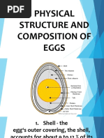 Structure and Composition of Eggs | PDF | Egg | Egg White