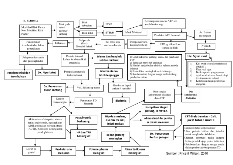 Pathway Stemi | PDF
