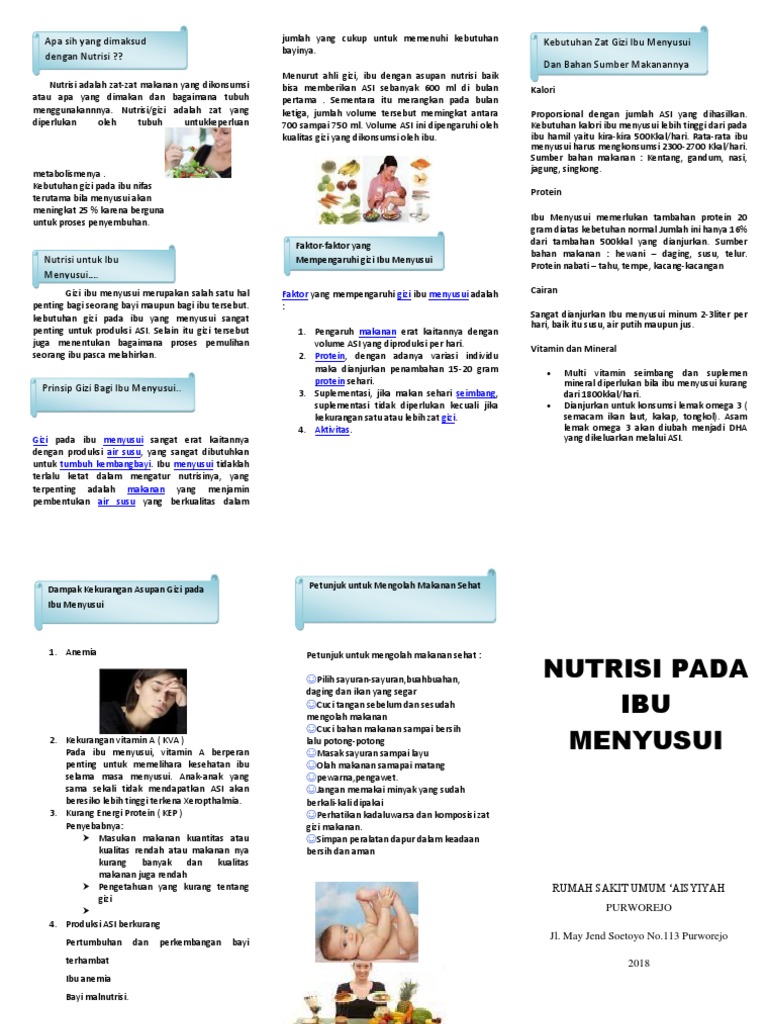 Leaflet Ibu Menyusui | PDF