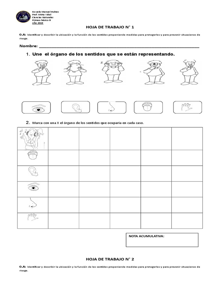 Hoja De Trabajo De Los Sentidos Hoja De Trabajo Educativa Para Niños.