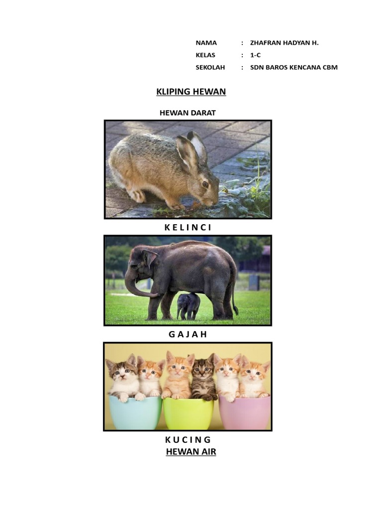 Kliping Hewan | PDF