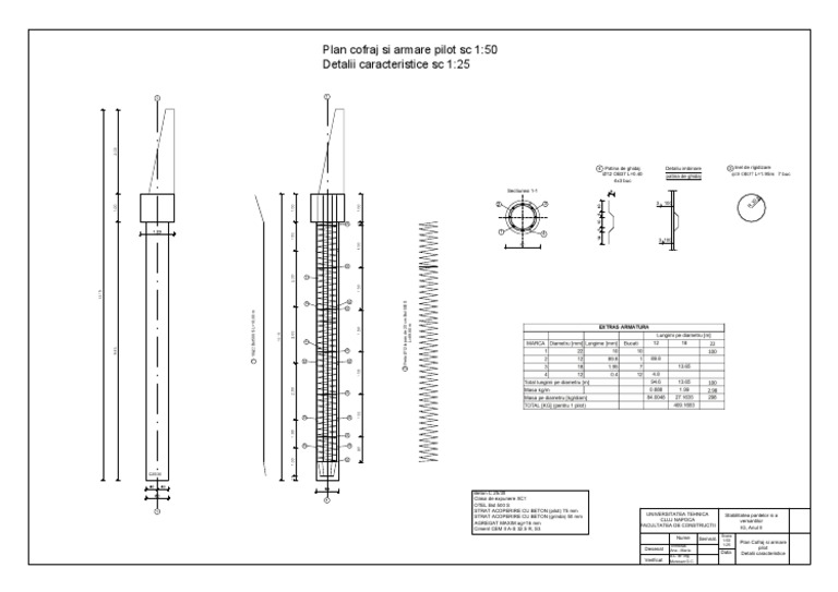 Tema 4 Plan Armare Pilot PDF | PDF