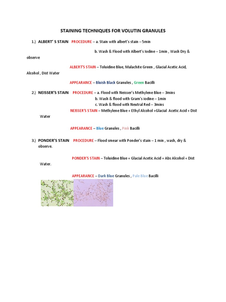 Staining Techniques For Volutin Granules: Albert' S Stain | PDF ...