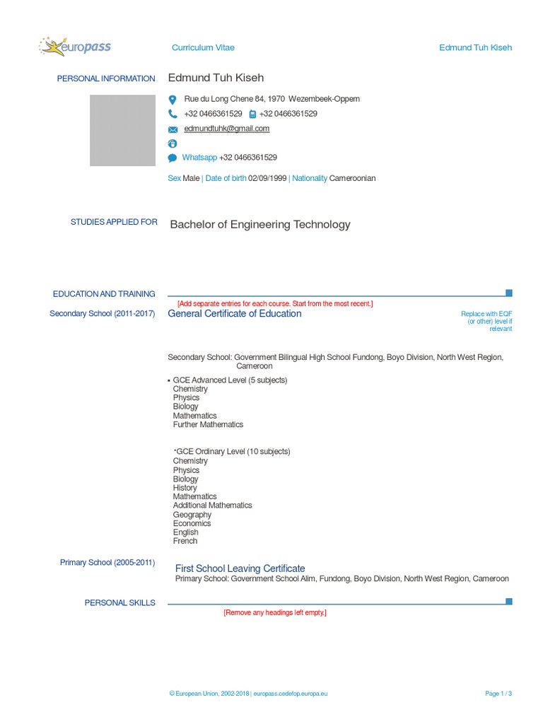Europass CV Template | Download Free PDF | Software | Behavior Modification