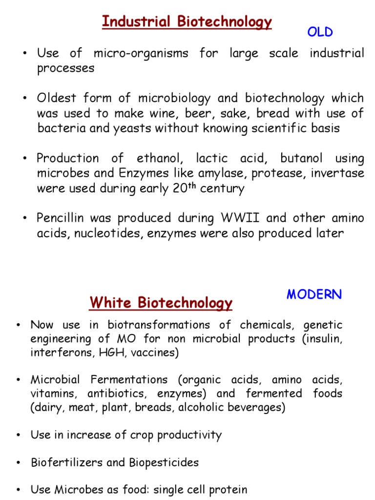 Basics of Fermentation Technology and Fermentor Design 3795 | PDF ...