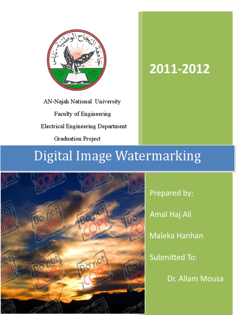 Dummy Report Digital - Image - Watermarking | PDF | Data Compression ...