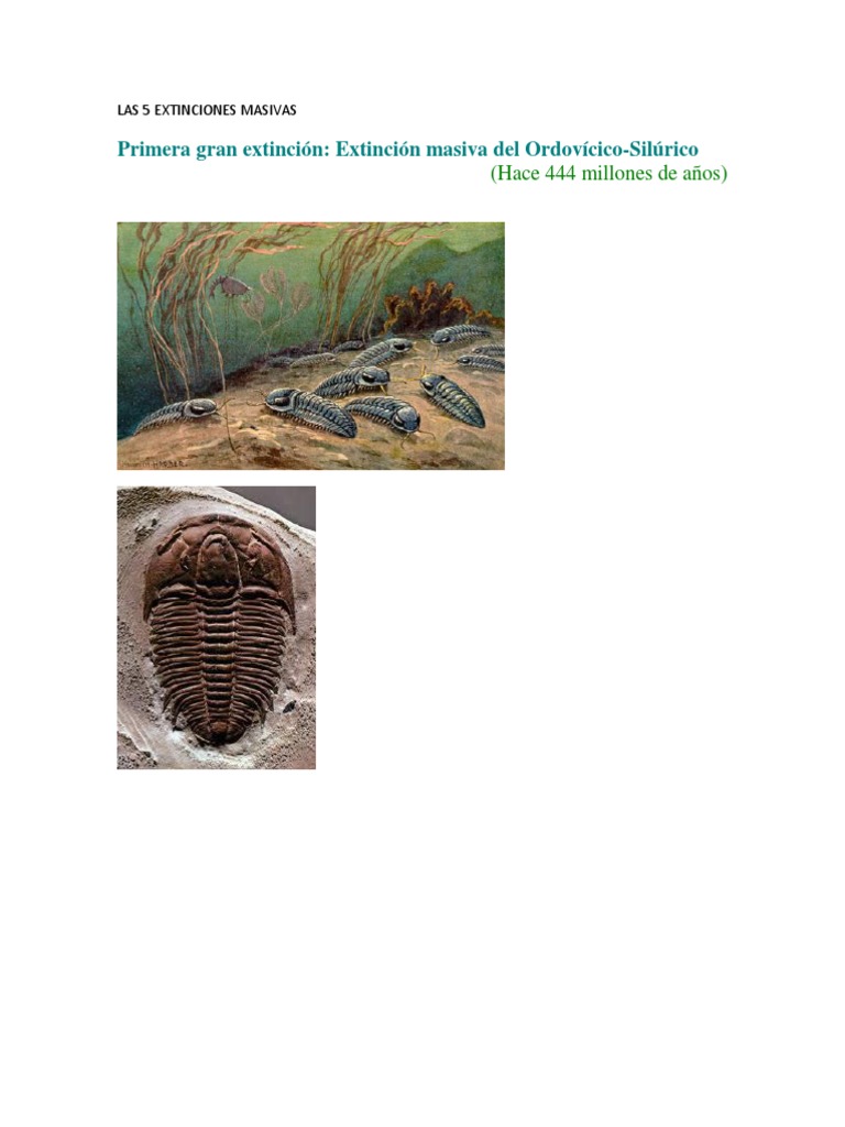 Las 5 Extinciones Masivas de la Tierra | PDF | Ciencia y matemáticas