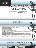 Linea de Feiss, Linea de Helbing | PDF | Pie | Anatomía humana