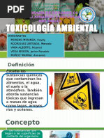 Diapositiva Toxicología | PDF | Toxicidad | Biotransformación