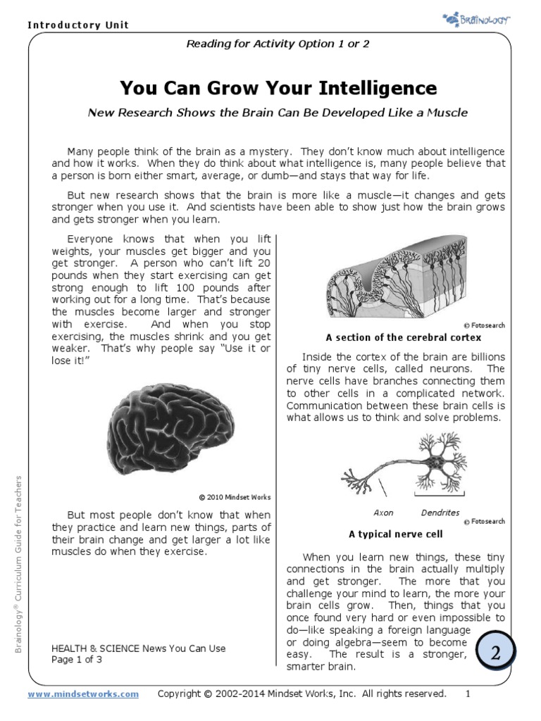 You Can Grow Your Intelligence: New Research Shows The Brain Can Be ...