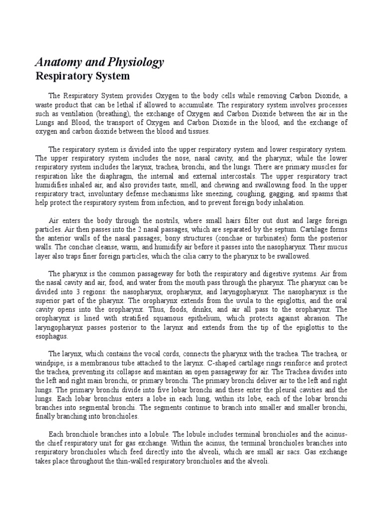 Anaphy Heart and Lungs | PDF | Respiratory Tract | Heart Valve