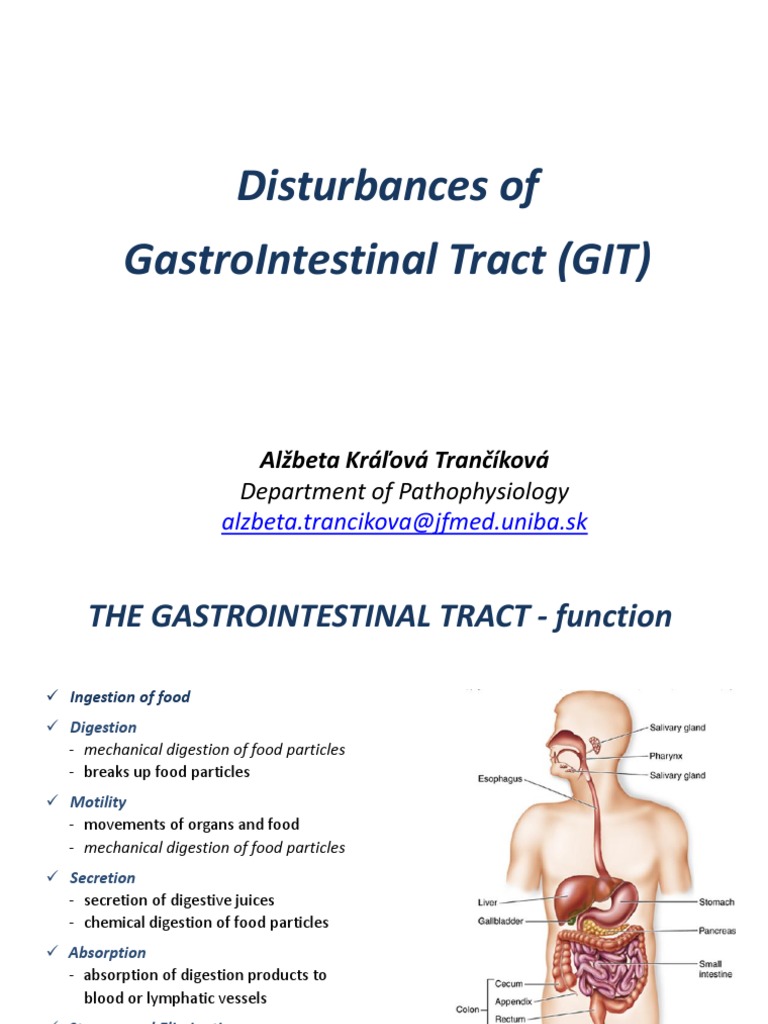 Disturbances of Gastrointestinal Tract (Git) : Alzbeta - Trancikova ...