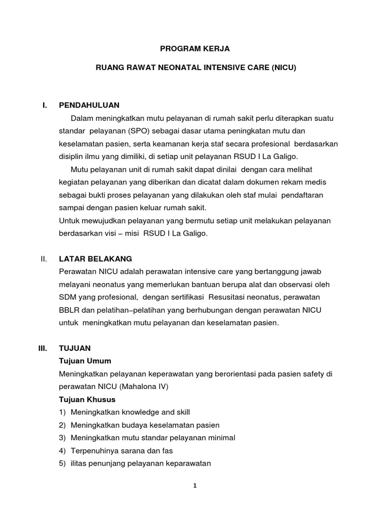 Program Kerja Unit Nicu | PDF