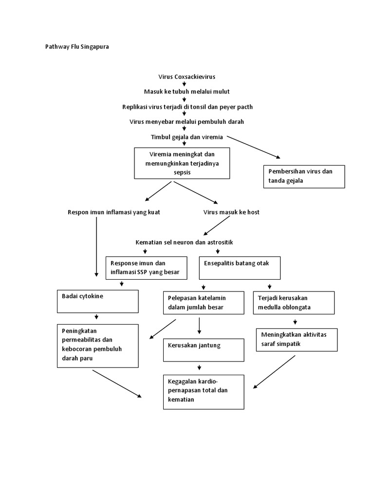 Pathway Flu Singapura | PDF
