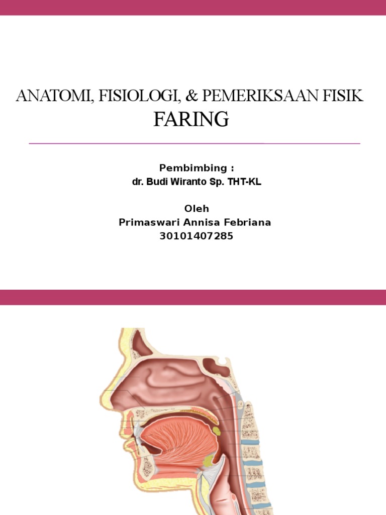Anatomi, Fisiologi, PX Faring | PDF