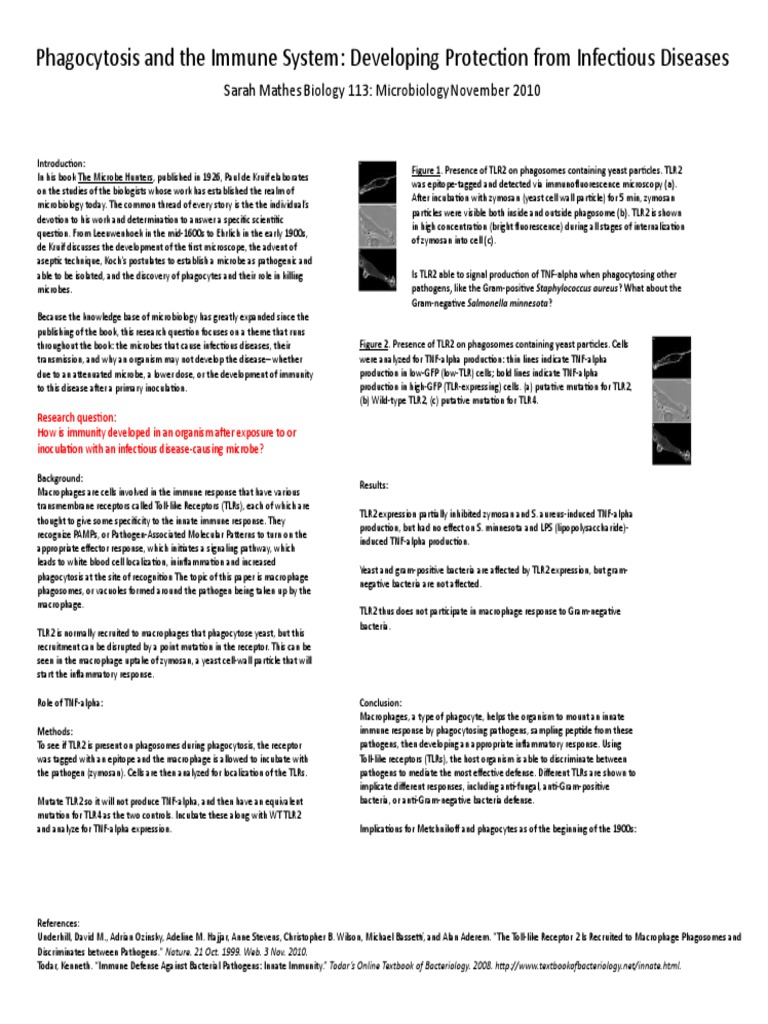 Immunity Book Poster | PDF | Immune System | Macrophage