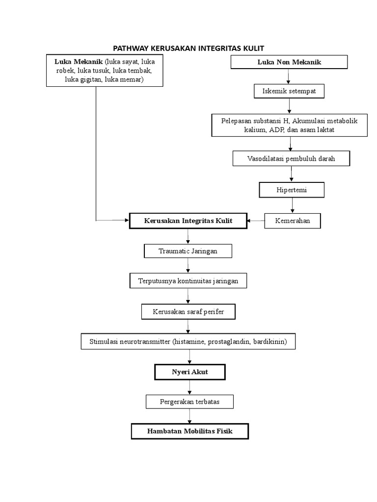 Kerusakan Integritas Kulit PATHWAY | PDF