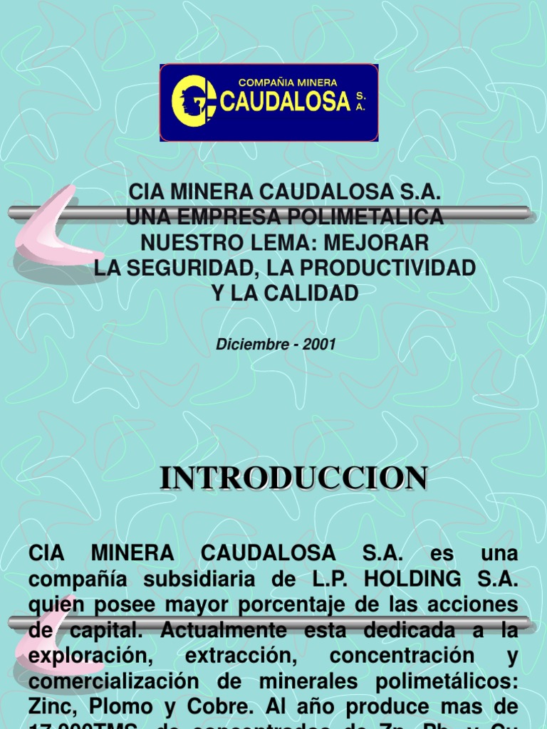 01 Caudalosa 22 | PDF | Minería | Metales de transición