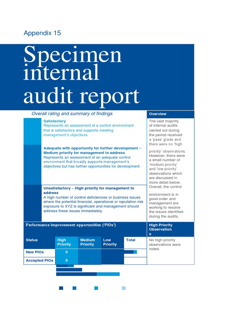 Specimen Internal Audit Report: Appendix 15 | PDF | Internal Audit | Internal Control