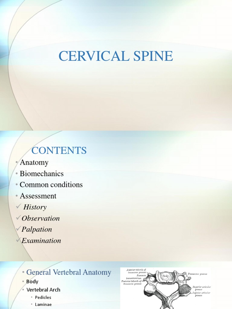 0 - Cervical Spine Assessment-1 | PDF | Vertebra | Vertebral Column