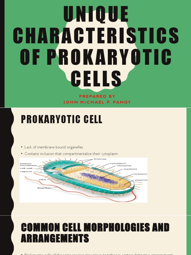 Unique Characteristics of Prokaryotic Cells | PDF | Cell Membrane ...