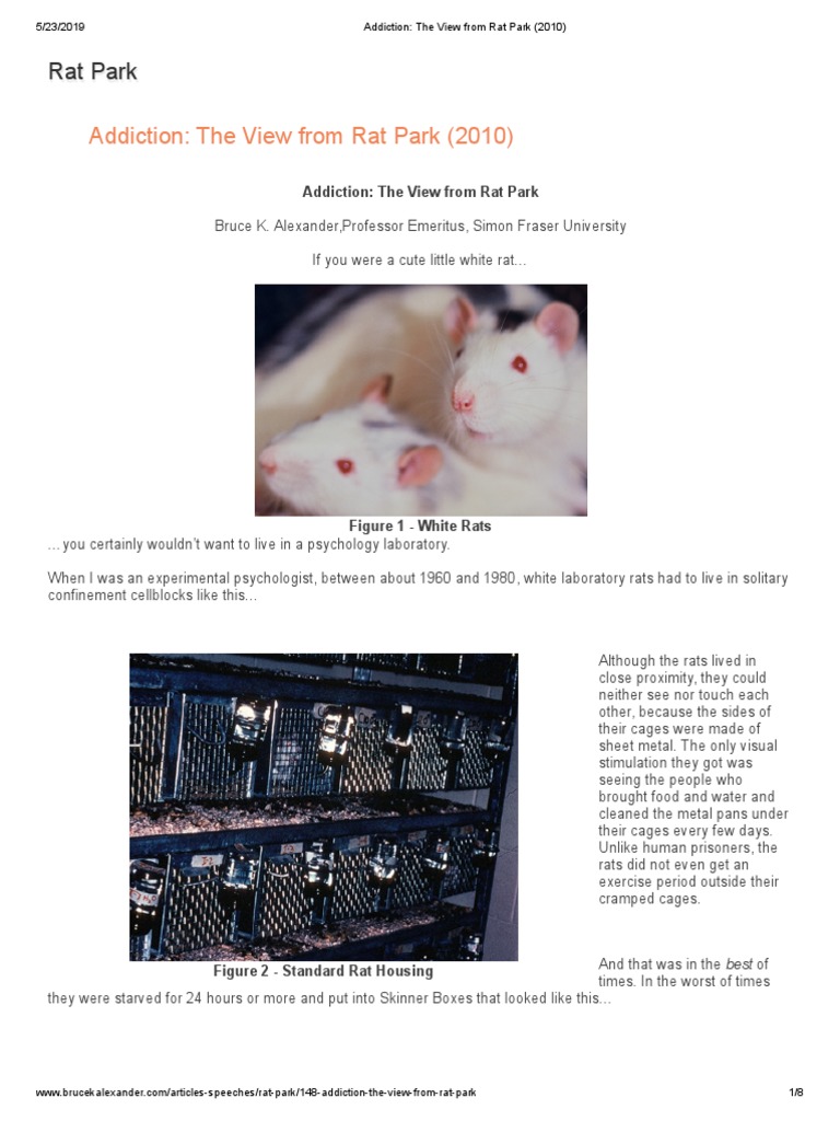 Addiction - The View From Rat Park (2010) | PDF | Alcoholism | Experiment