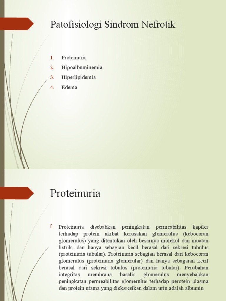 Patofisiologi Sindrom Nefrotik | PDF