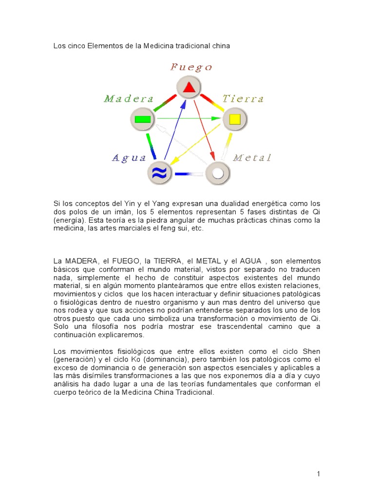 5 Elementos Mtc Pdf Qi Fisiología