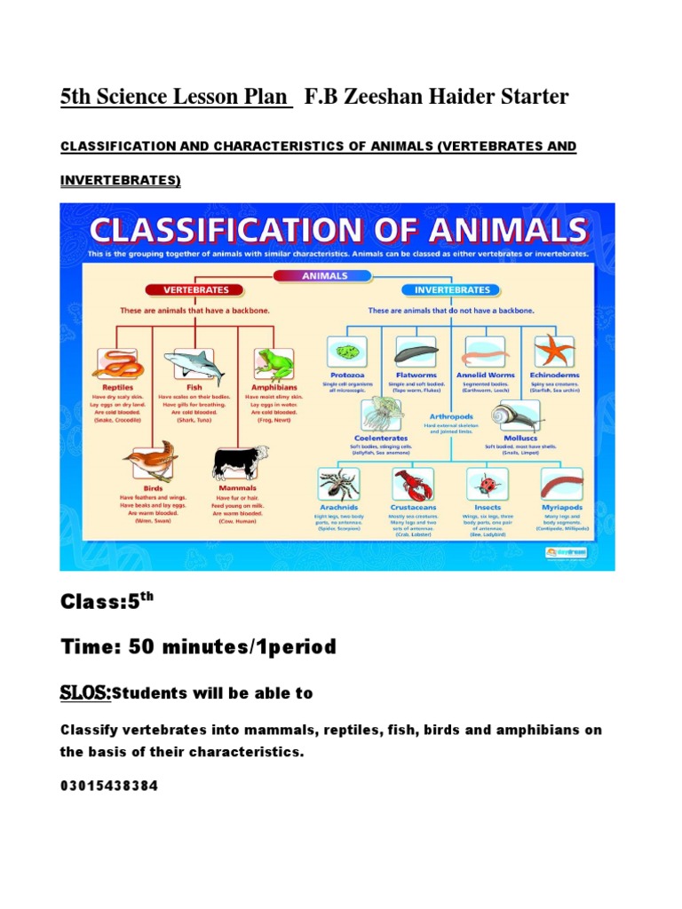 Vertebrates and Invertebrates Lesson Plan | PDF | Vertebrates | Amphibian