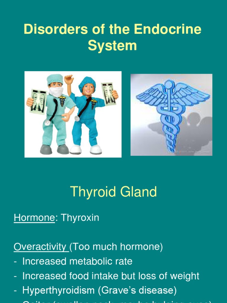 Disorders of The Endocrine System | PDF | Thyroid | Hypoglycemia