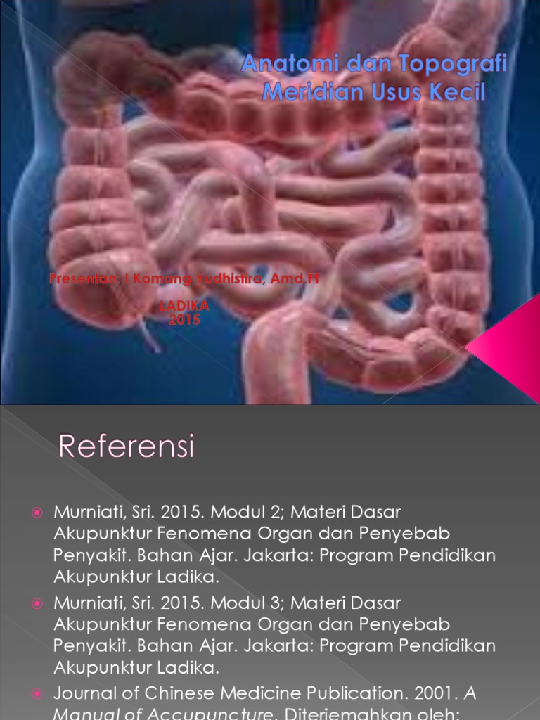 Anatomi Dan Topografi Meridian Usus Kecil | PDF