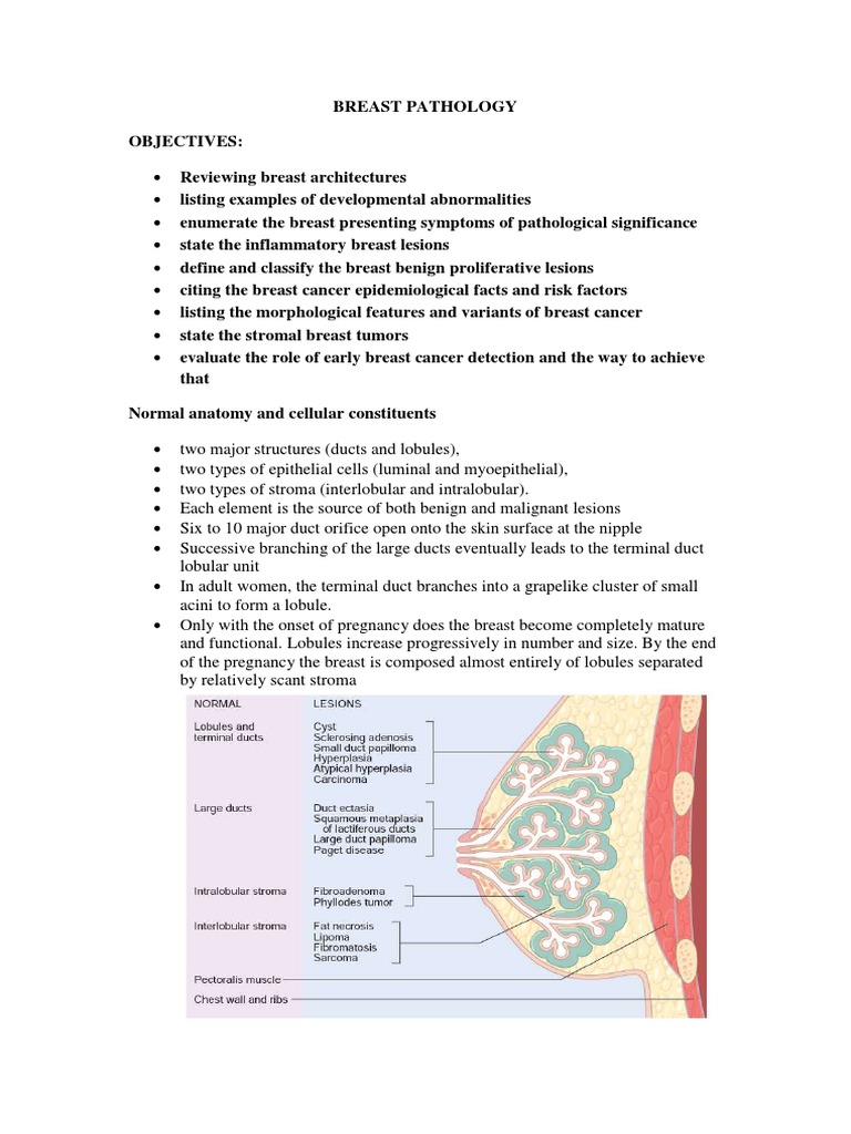 Breast Pathology 2018 PDF | PDF | Carcinoma | Breast Cancer