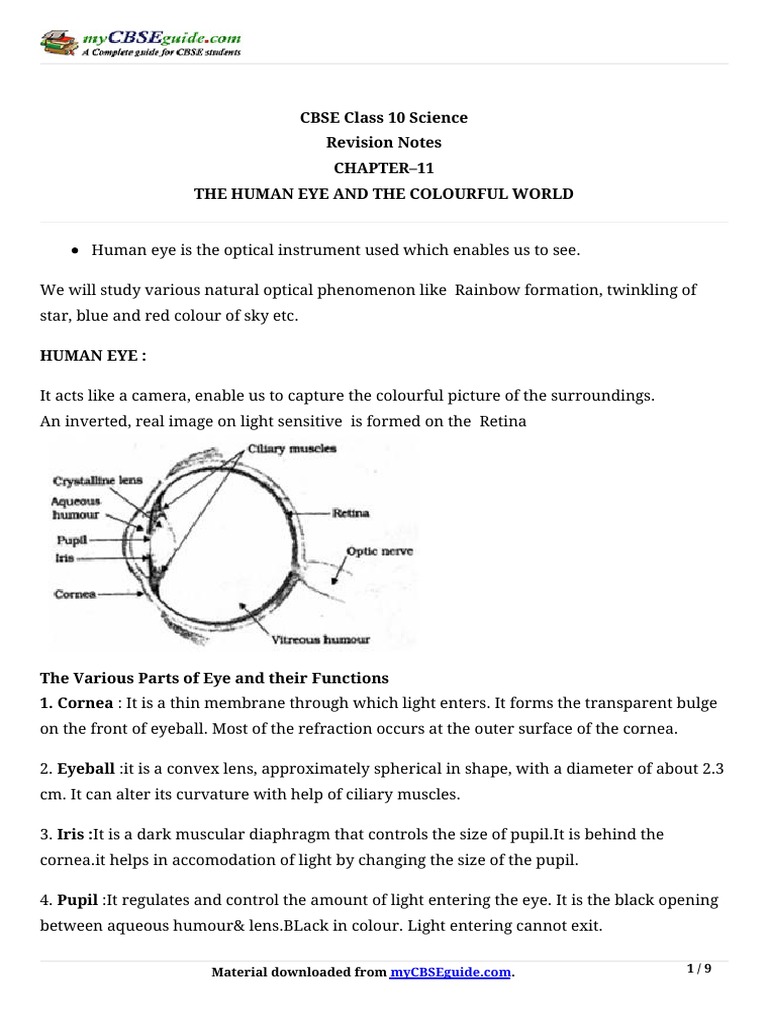 10 Science Notes 11 Human Eye and Colourful World 1 | PDF | Prism | Eye