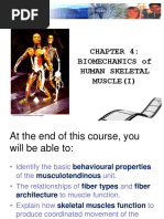 Biomechanics of Muscles | PDF | Myocyte | Skeletal Muscle