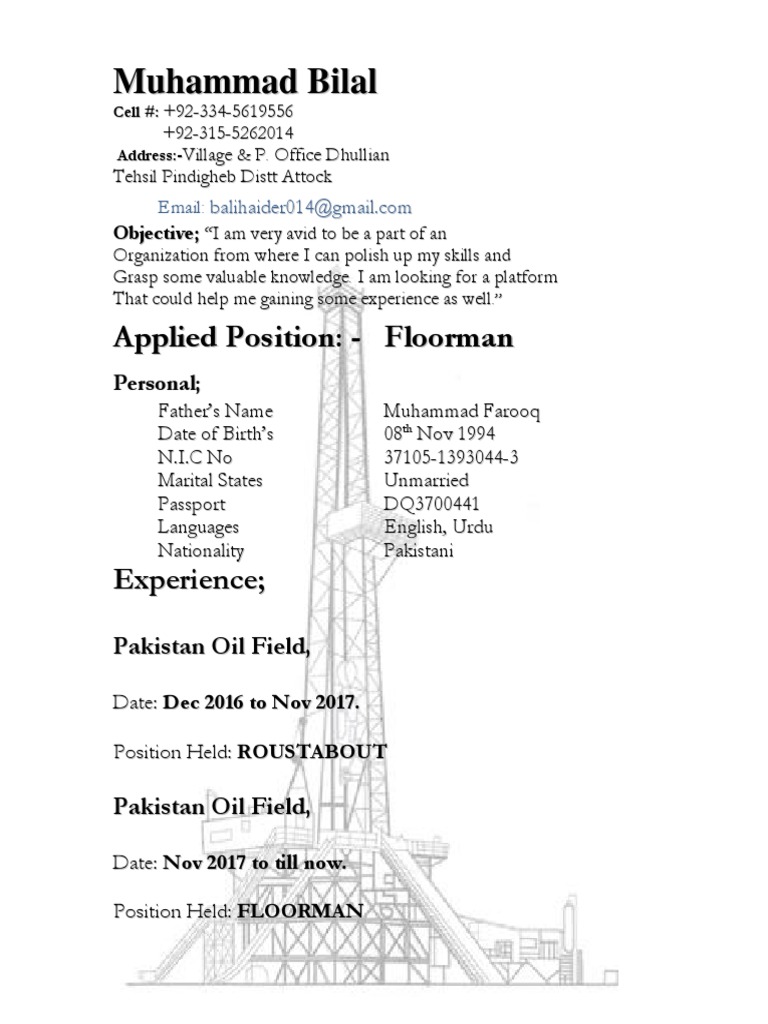 Bilal CV | PDF