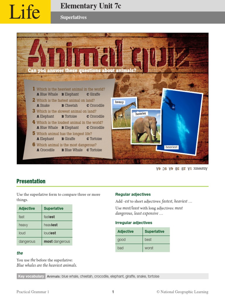 Elementary Unit 7c | PDF | Linguistics | Grammar