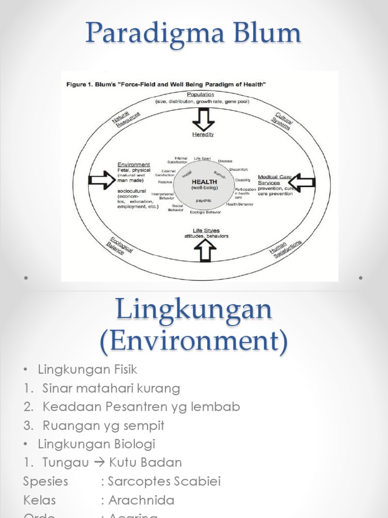 Paradigma Blum | PDF